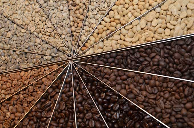 Understanding Coffee Roast Levels: A Guide to Light, Medium, and Dark ...