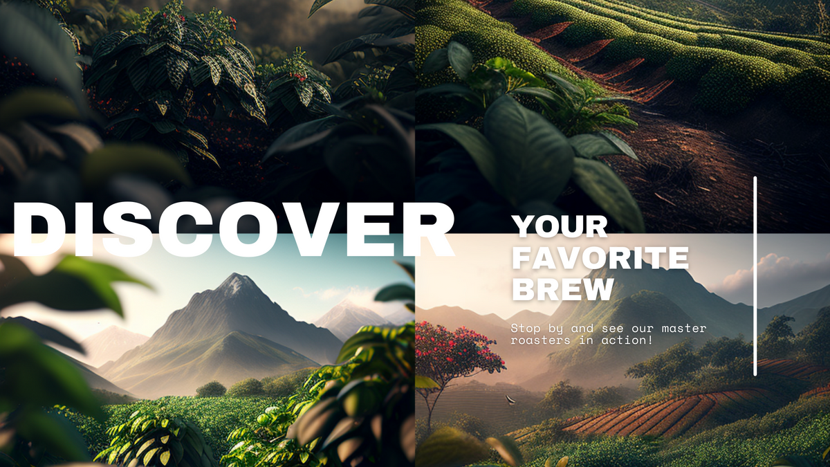 Discover Rare Earth Coffee: A Coffee Roasting Expert's Passion